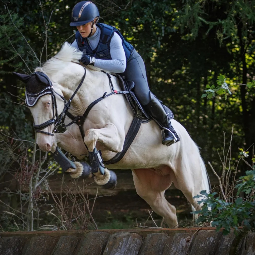 Snowys Cristobal xx (USA) – Shop Freezeandbreed