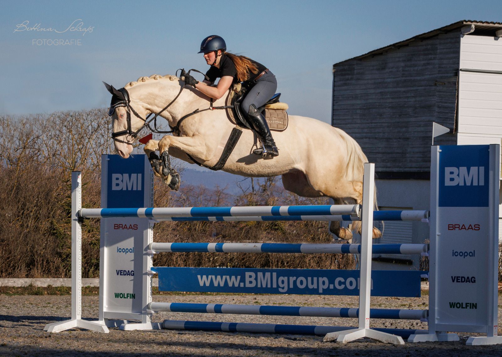 Snowys Cristobal xx (USA) – Shop Freezeandbreed